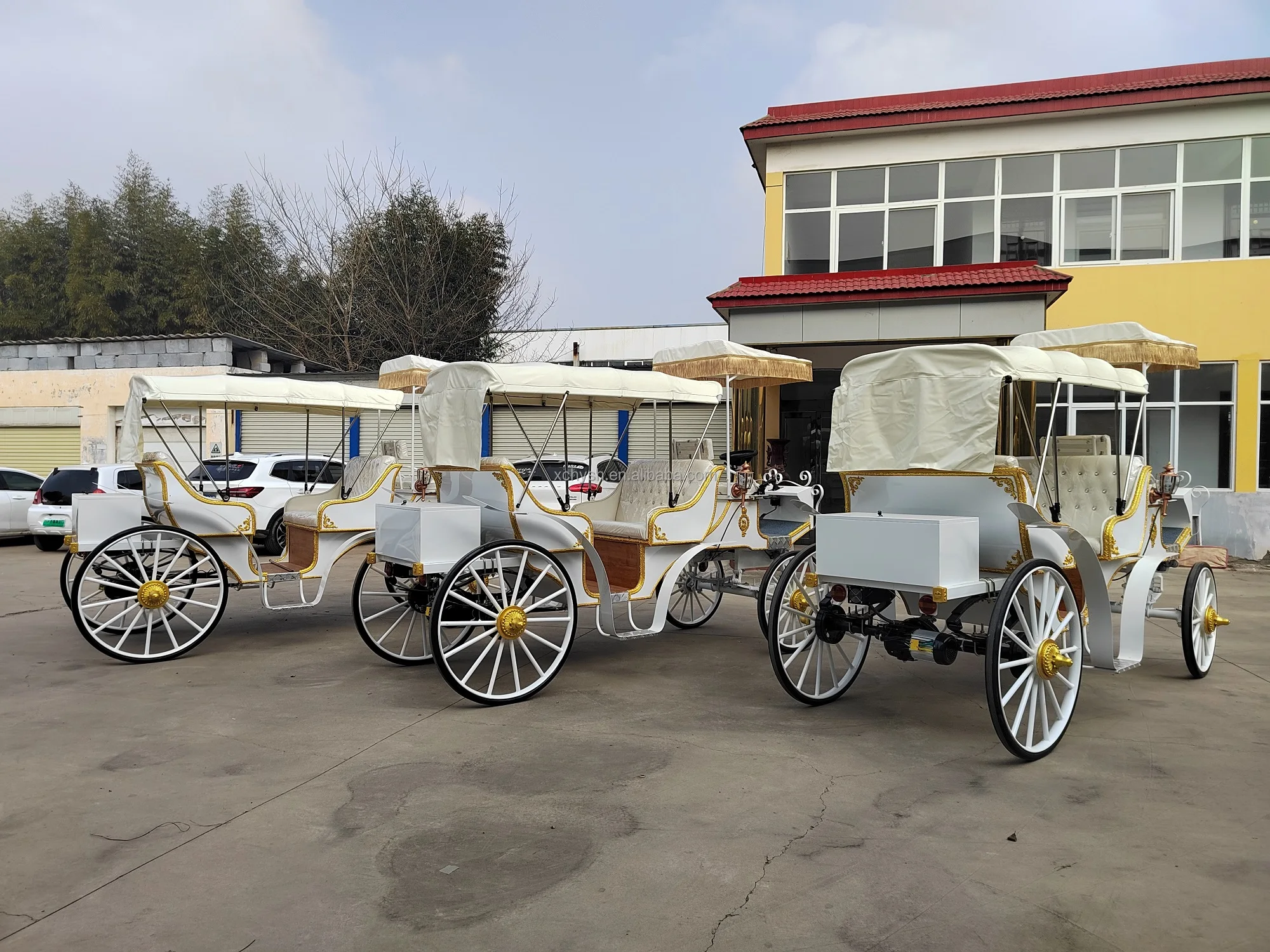 Absolute Perfect Electric Horseless Carriage For Special Events/landau ...