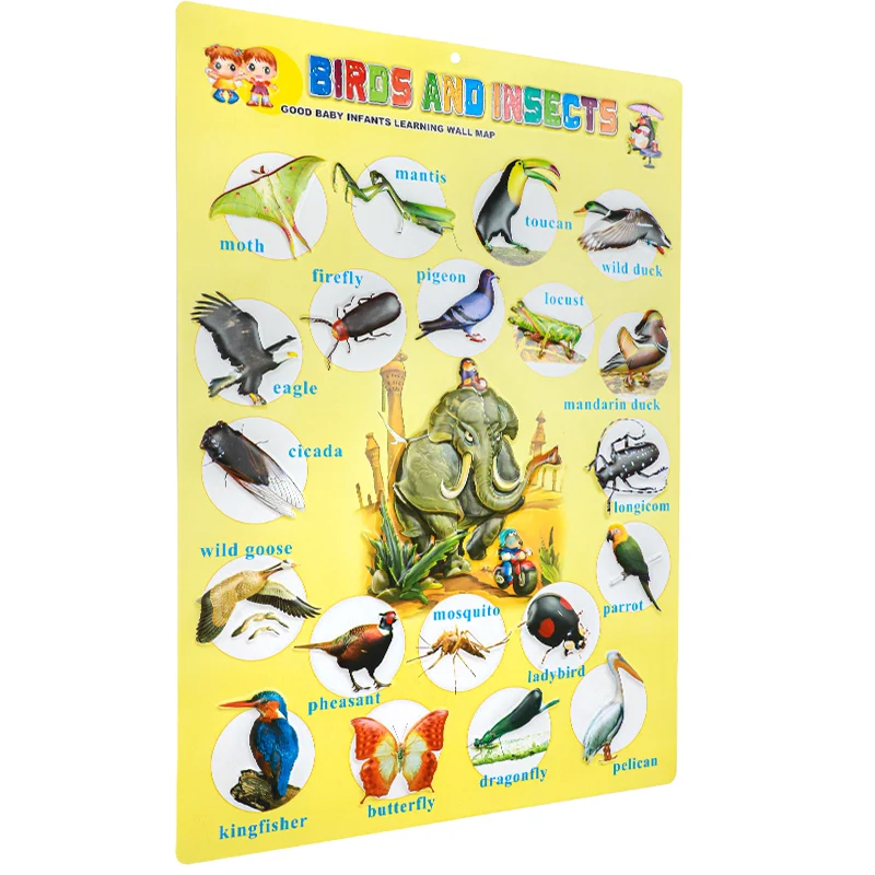 3D PVC Medical Wall Chart for Medical Science Model| Alibaba.com