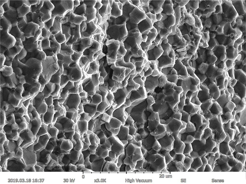 AELAB Benchtop SEM: Precision Scanning Electron Microscope with 1nm ...