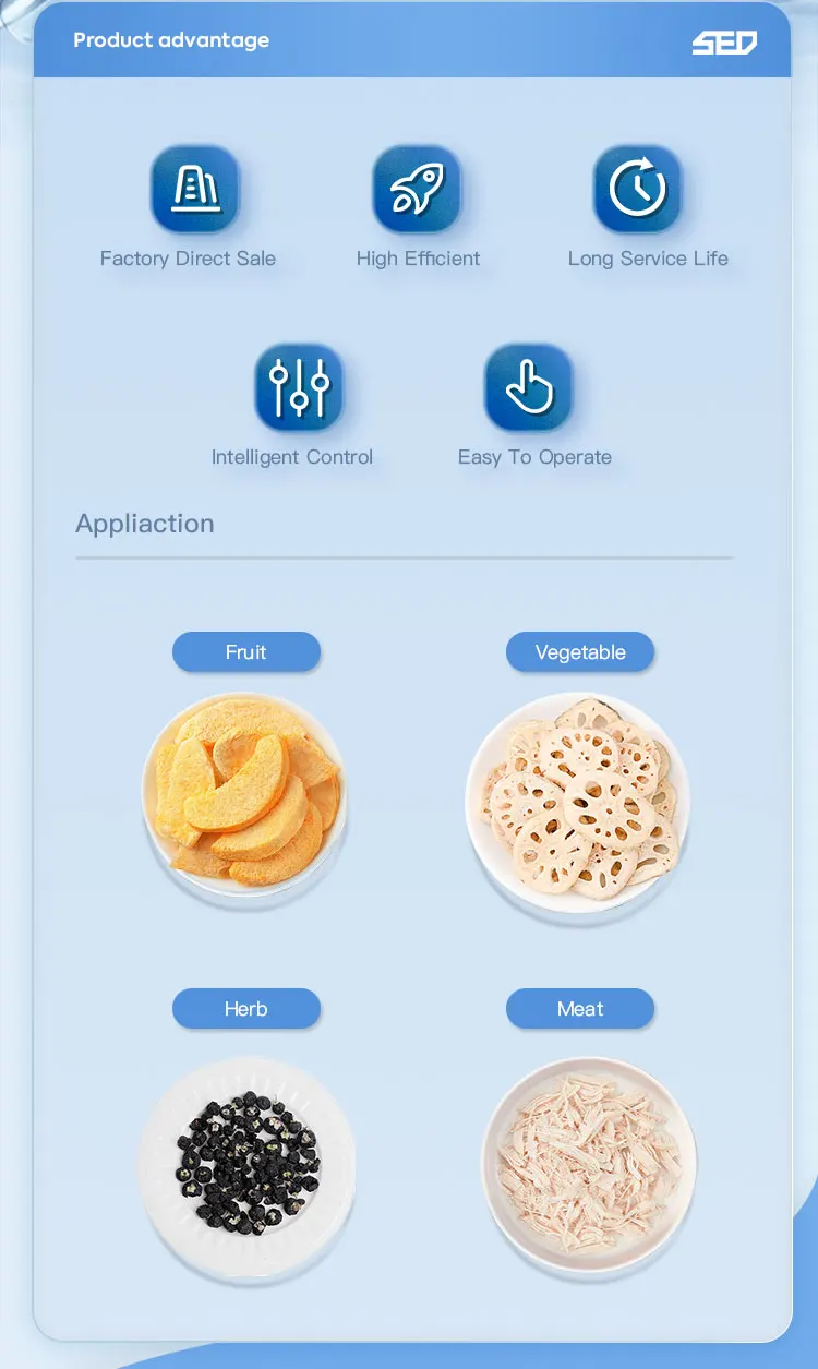SED-5DG Vacuum Freeze Dryer - Efficient Dog Cat Food Preservation