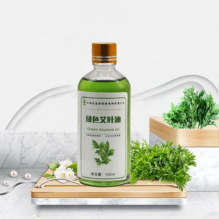 Natural Mugwort Oil/ Blumea Oil /mugwort Extract Essential Oils Mugwort ...