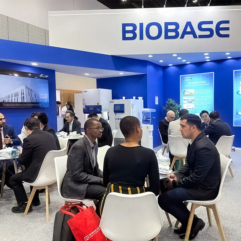 BIOBASE Factory Price Horizontal Electrophoresis Tank Protein Test ...