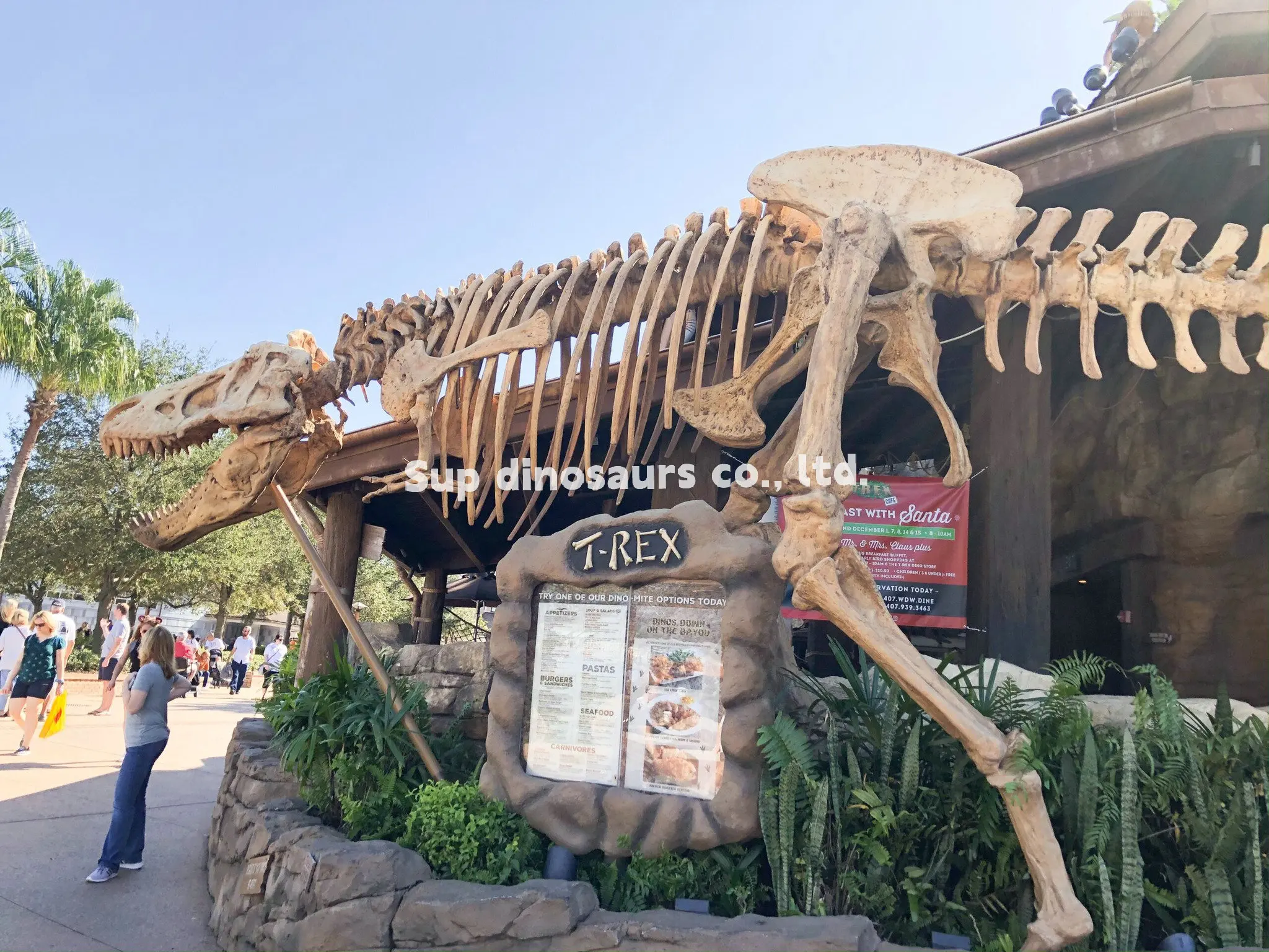 Dinosaur Park Dinosaur Fossils Real Tyrannosaurus Rex Skeleton For Sale ...