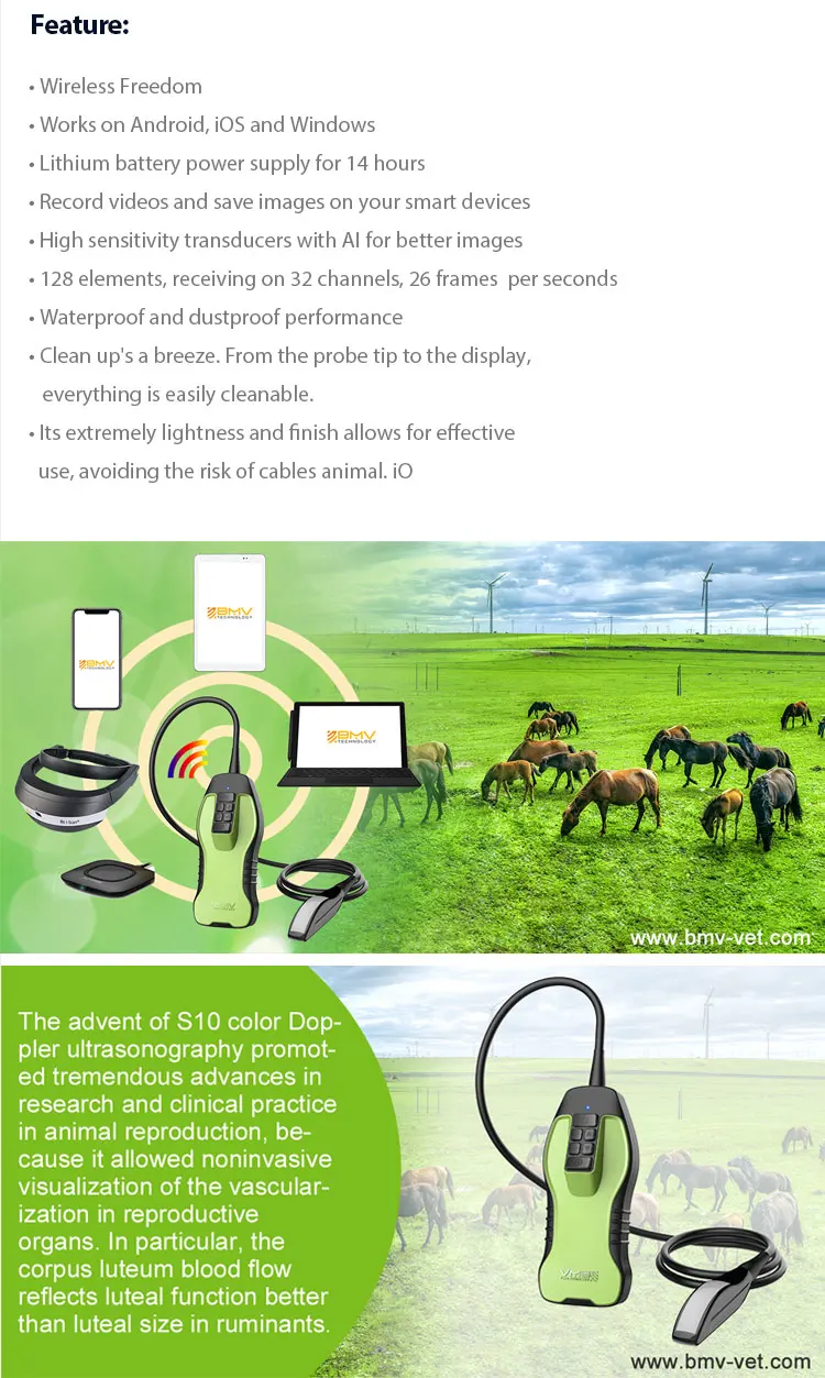 Portable Ultrasound Machine for Veterinary Use - BMV S10
