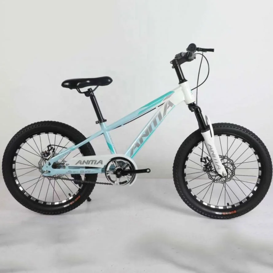 Full Suspension 29 Inch Cycle Mtb /double Disc Brakes Alloy Bicycle 21 ...