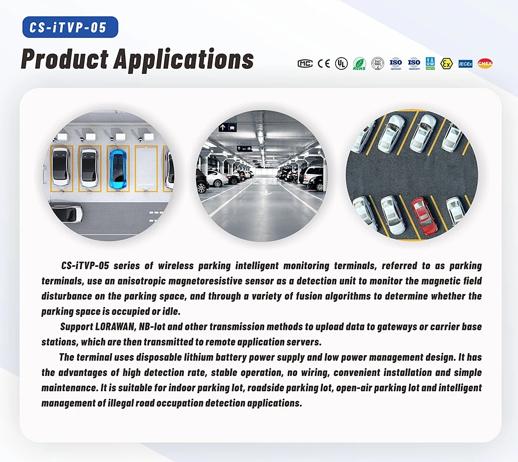 Lorawan Nb Geomagnetic Parking Lot Sensor Indoor and Outdoor General ...