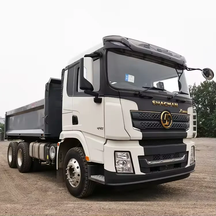 Shacman F3000 Lorry Truck 10X4 for Sale| Alibaba.com