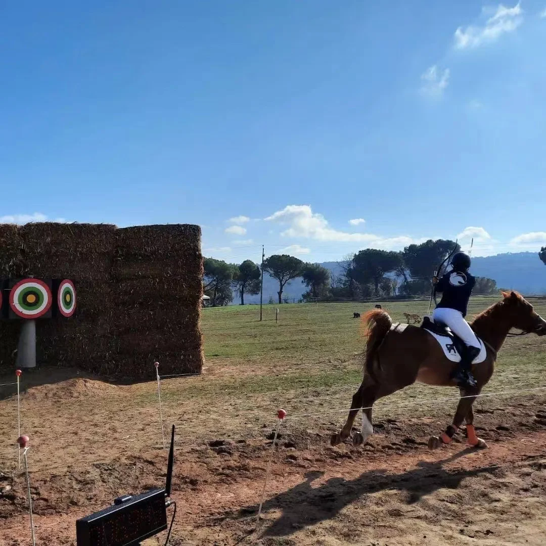 Speedtech S-003 Wireless Laser Timer - Precision Training