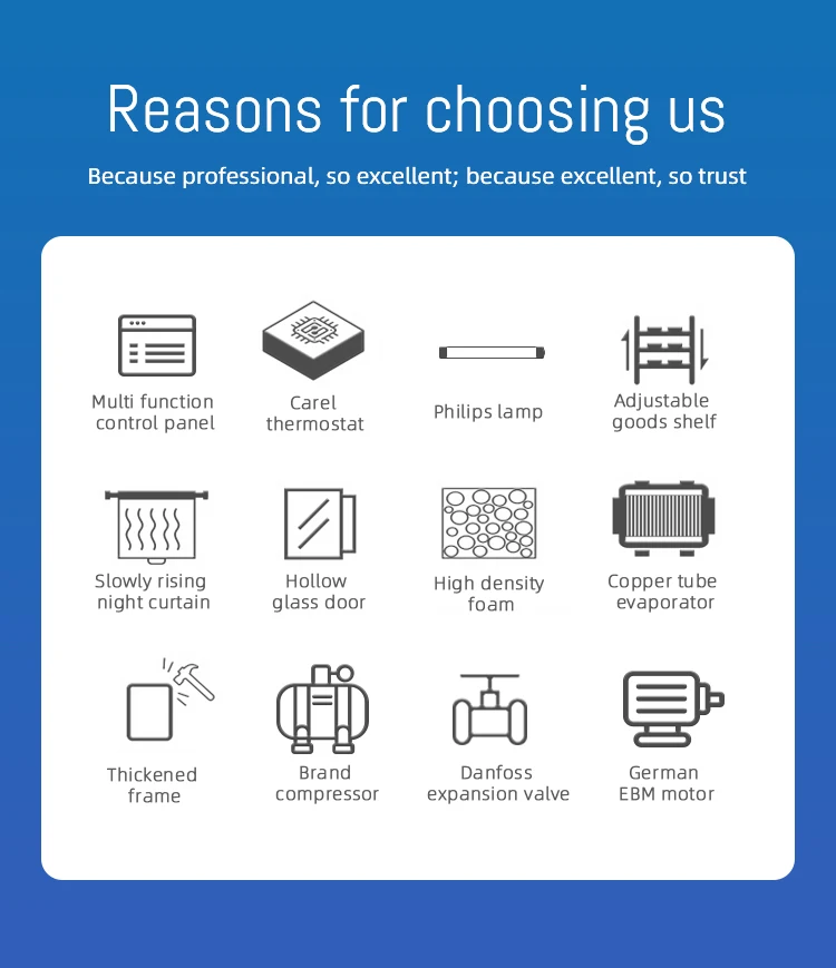 Large Capacity Air Curtain Chiller for Supermarket Display
