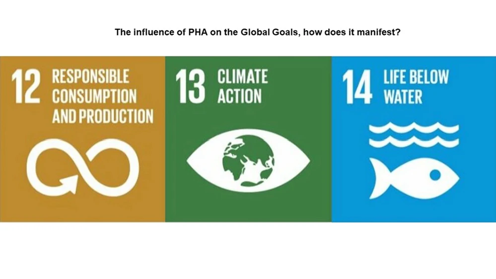 Pha Pbs U Shape Straw For Drinks -100% Biobased Fully Home Compostable ...