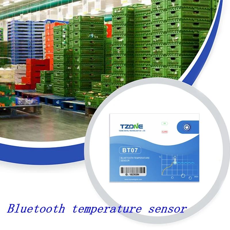Bt07 Bluetooth Temperature Data Logger Ble Temperature Recorder Sensor With Monitoring Systems ...