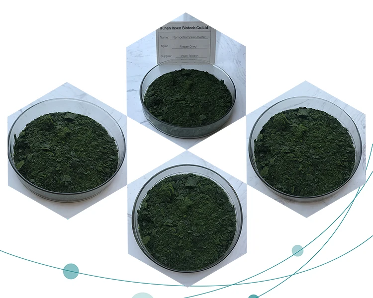Insen Supply Nannochloropsis Oculata Powder - Solvent Extraction