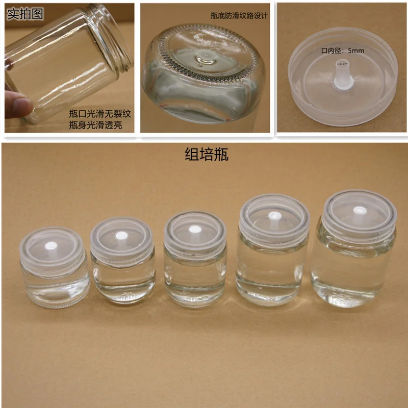 Tissue Culture Jars - Laboratory Equipment with Plastic Lid