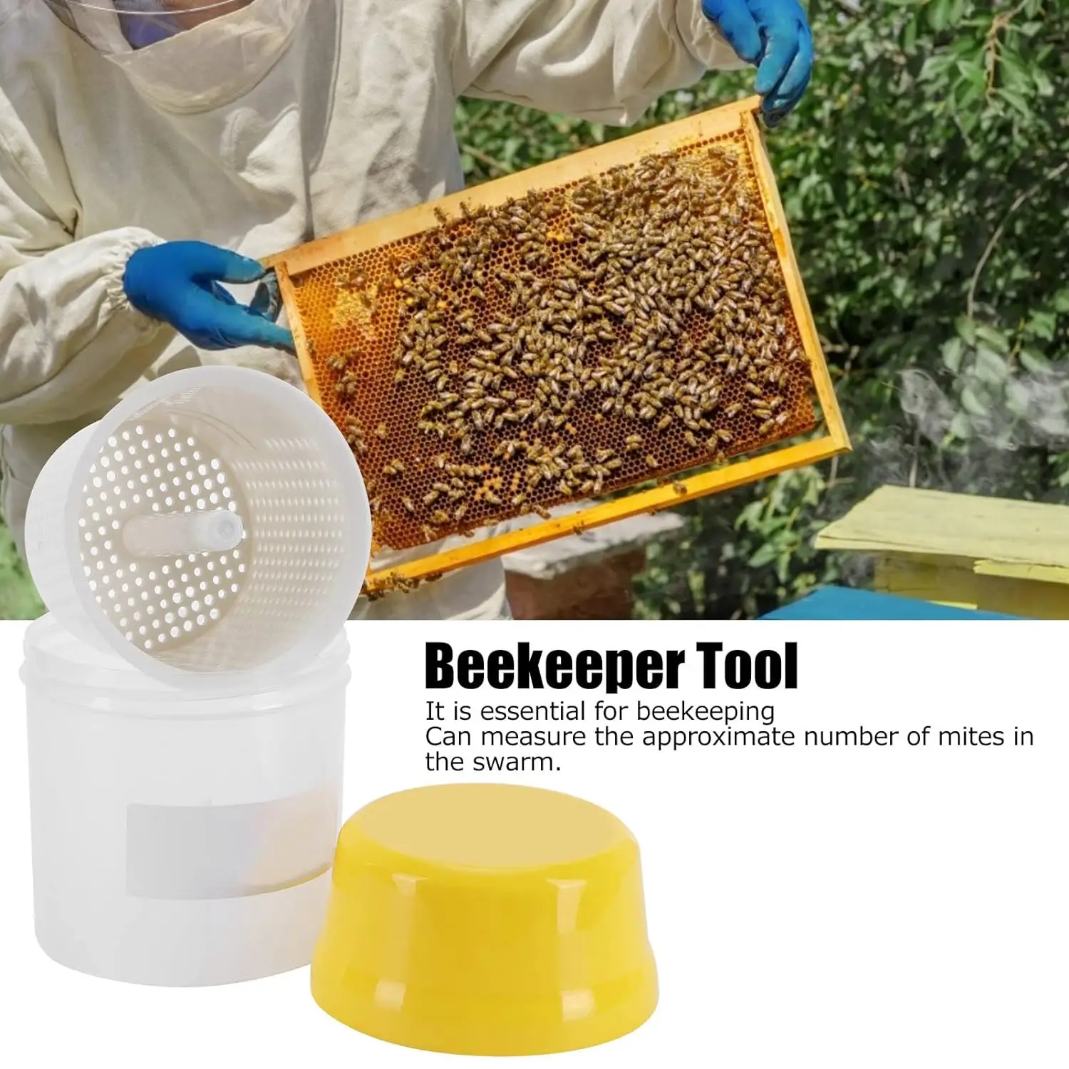 Varroa Mite Treatment Varroa Easy Check Varoa Mite Test Jar - Buy ...