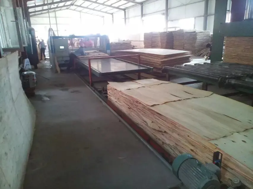 12m And 6400mm Lvl Hot Press Machine Lvl Production Line Hot Press ...