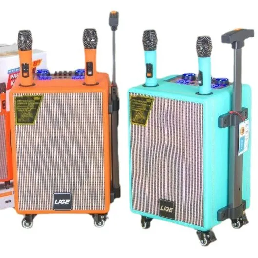 8 Inch Woodiness Bass Trolley with Karaoke Party Speaker