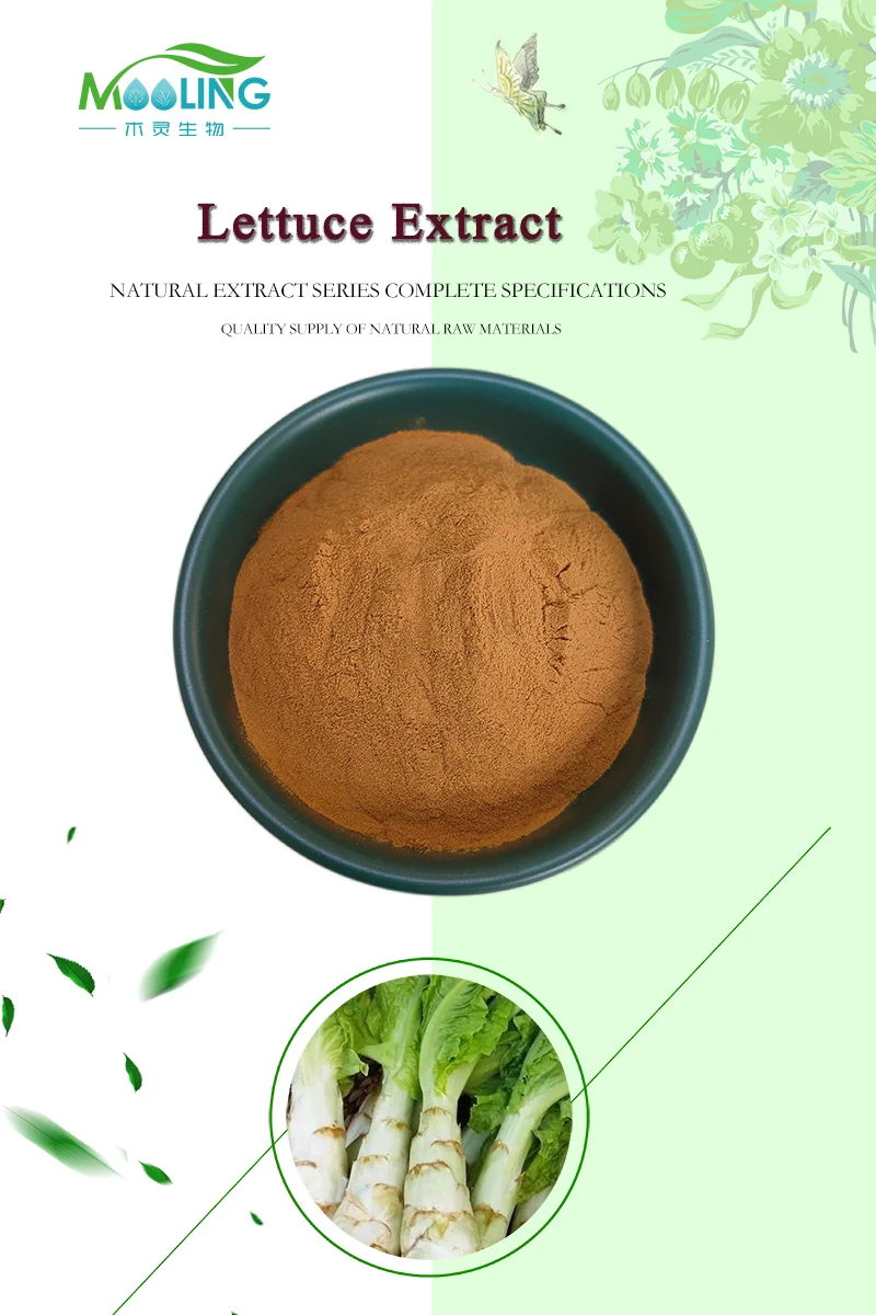 100% Pure Natural Lactuca Virosa Extract Wild Lettuce Extract| Alibaba.com