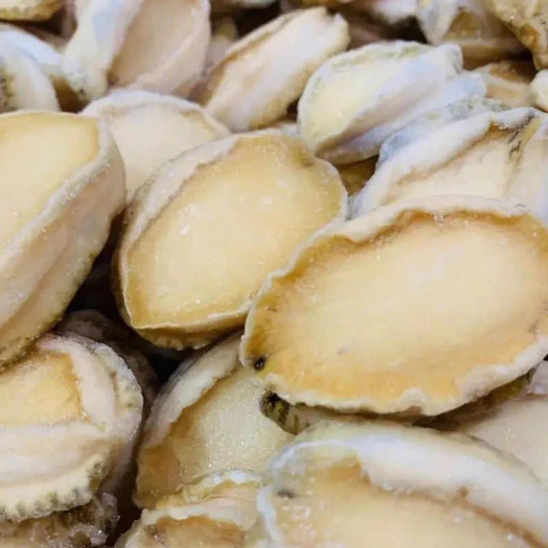 Wholesale High Quality Natural Abalone Freeze Air Dried Large Abalone ...