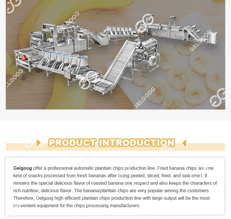 Automatic Philippine Green Plantain Chips Processing Line