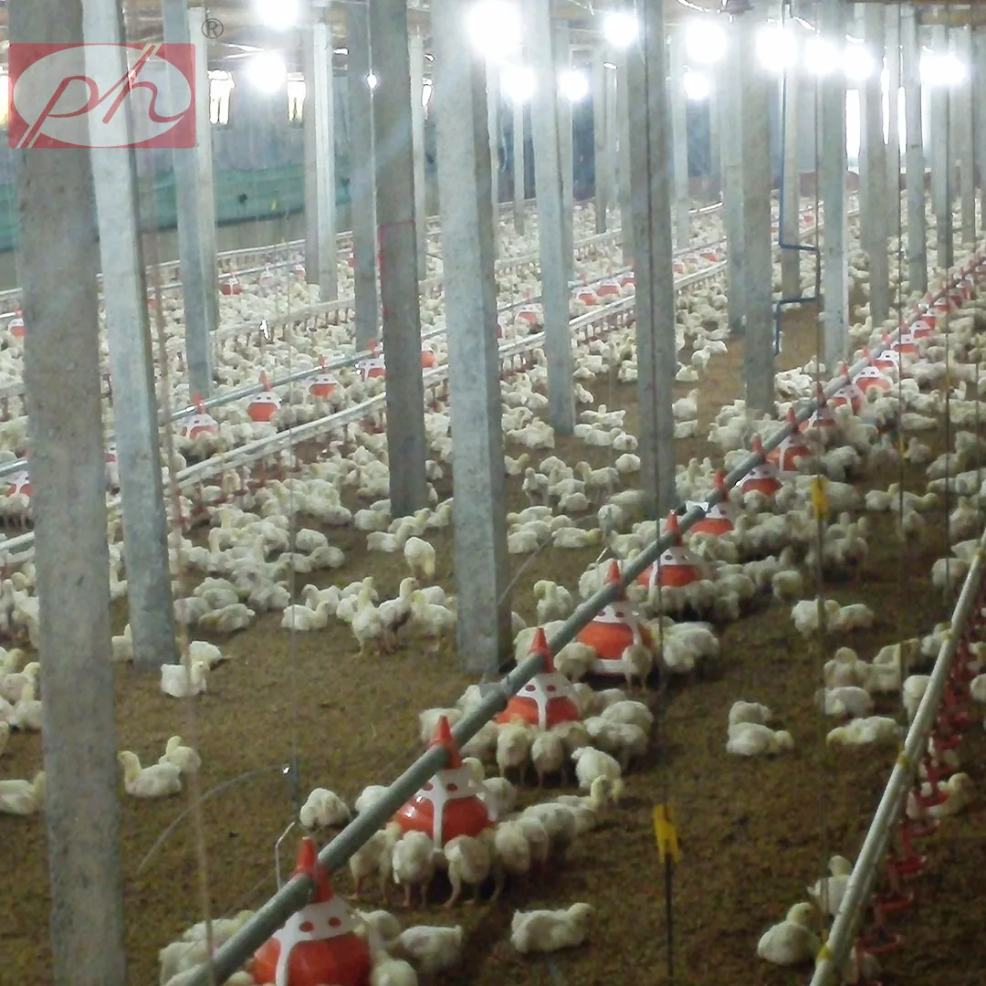New Condition Gestation Crates for Pigs for Pig Farm Use| Alibaba.com