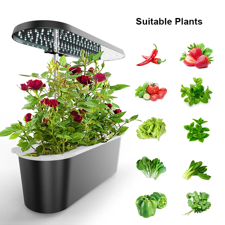 IGS-25 Hydroponic Plants Growing System - Smart Indoor Gardening