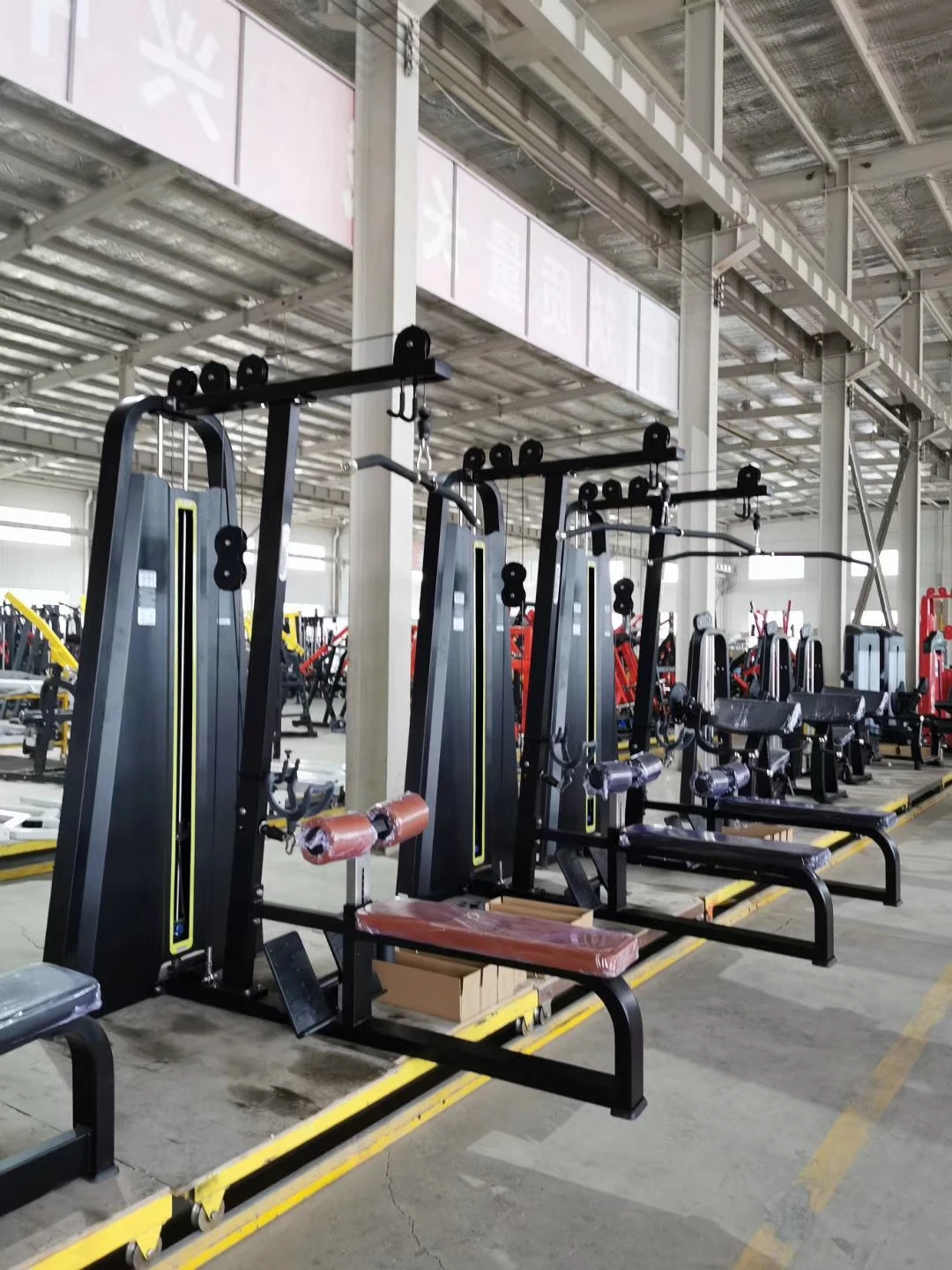 Bodybuilding Exercise Commercial Use For Gym Pin Loaded Fitness ...