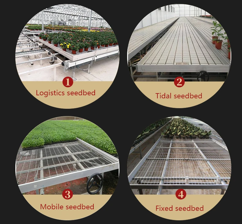 Agriculture Breeding Hydroponic Rolling Bench Bench Outdoor Hydroponics ...