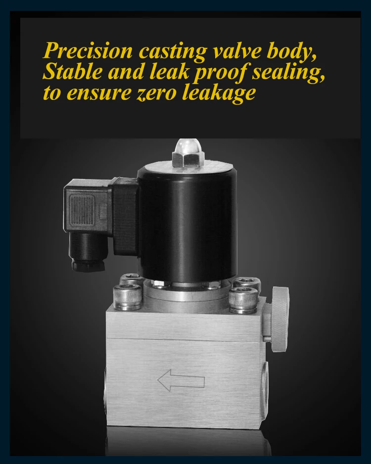 1.6mpa 16bar Dc24v Cryogenic Solenoid Valve 3/4inch Stainless Steel ...