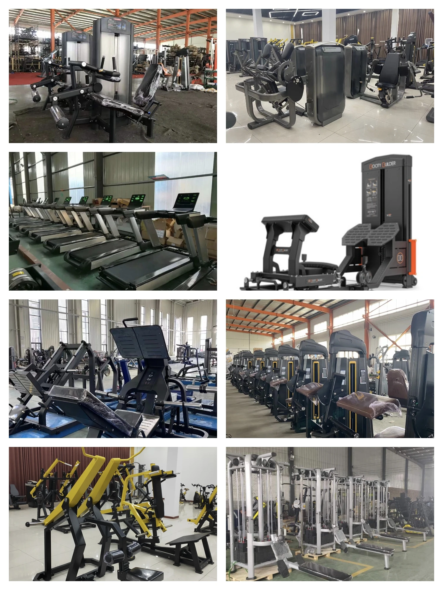 Commercial Seated Biceps Curl Triceps Extension Gym Equipment Biceps ...