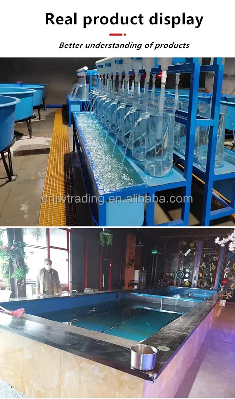 1000 Gallon Fish Tank - Perfect for Indoor Koi Breeding
