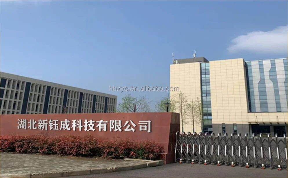 K31 Turbo 53319887507 2836324 2834106 Turbocharger 51091007769 Turbo ...