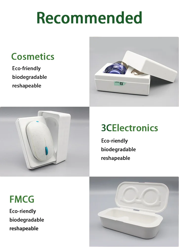 Custom Eco Friendly Molded Paper Pulp Box Packaging