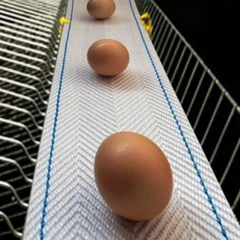 Poultry Automatic Farm Equipment Egg Collection System 4000 Eggs Fully ...