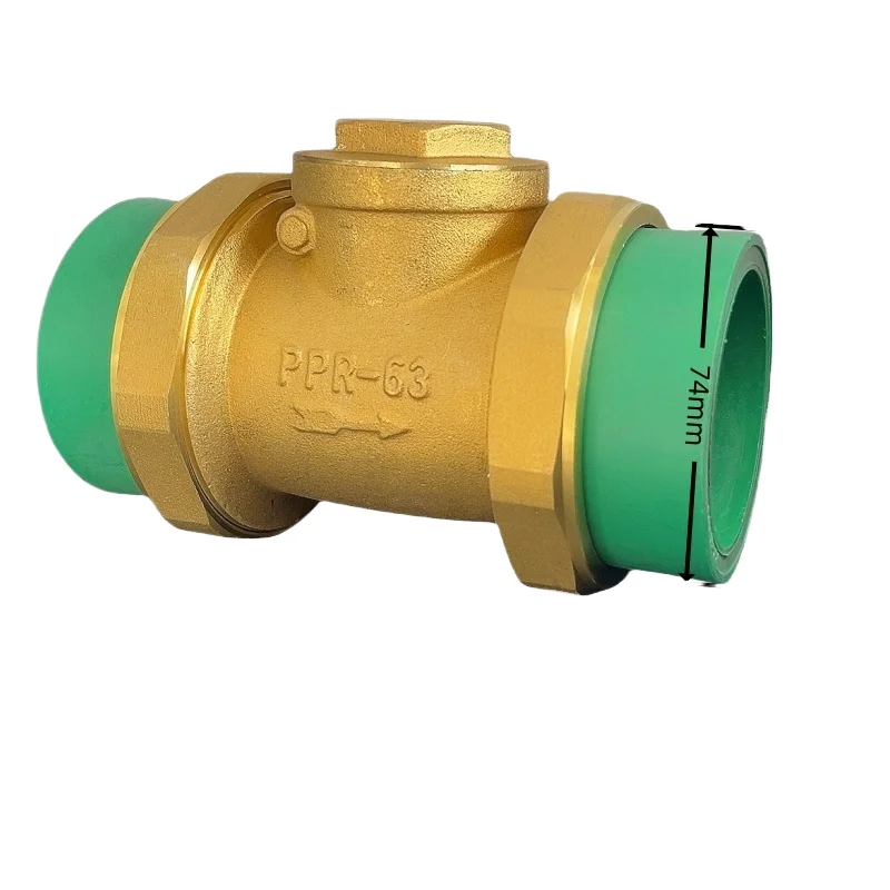 Manual Water PPR Bronze Swing Check Non Return Valve DN20-DN63 with 3 ...