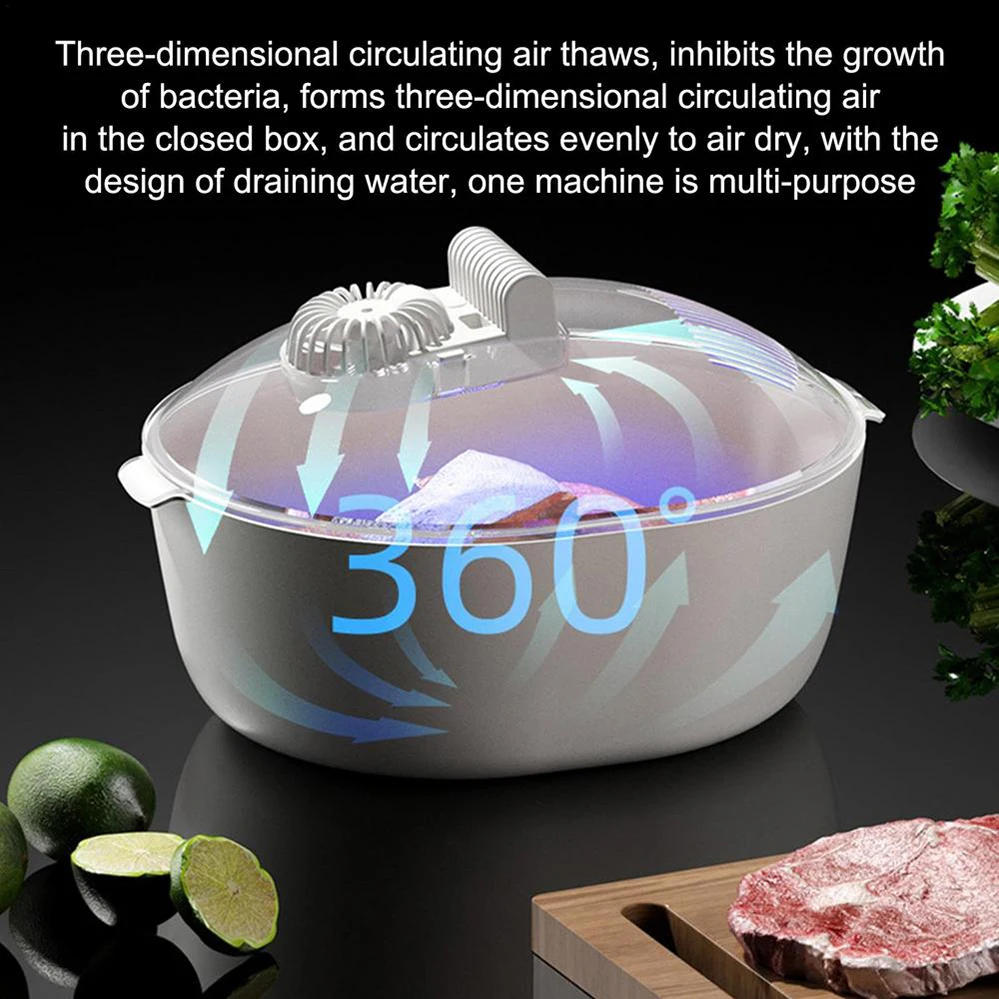 Quick-frozen Food Meat Quick Thawing Thawing Device Vegetable And Fruit ...