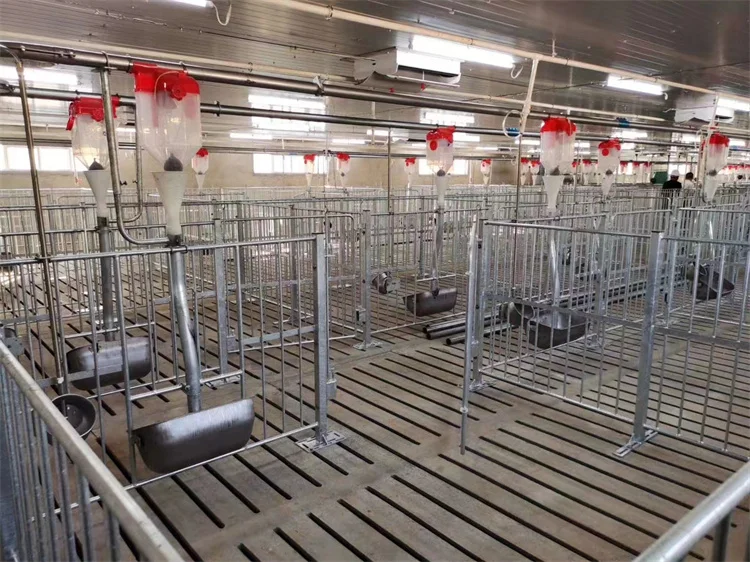 Customized Pig Gestation Stainless Steel Farrowing Crates Pig Weaning ...