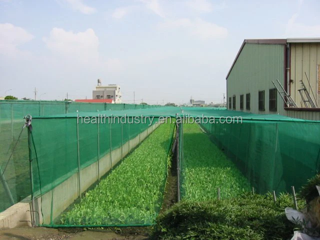 Fruit Tree Protection Nets For Anti Insect - Buy Anti-insect Bird Net ...