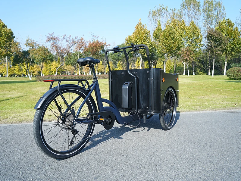 Electric 350W Adult Tricycle with Open Cargo Box - 36V Bike