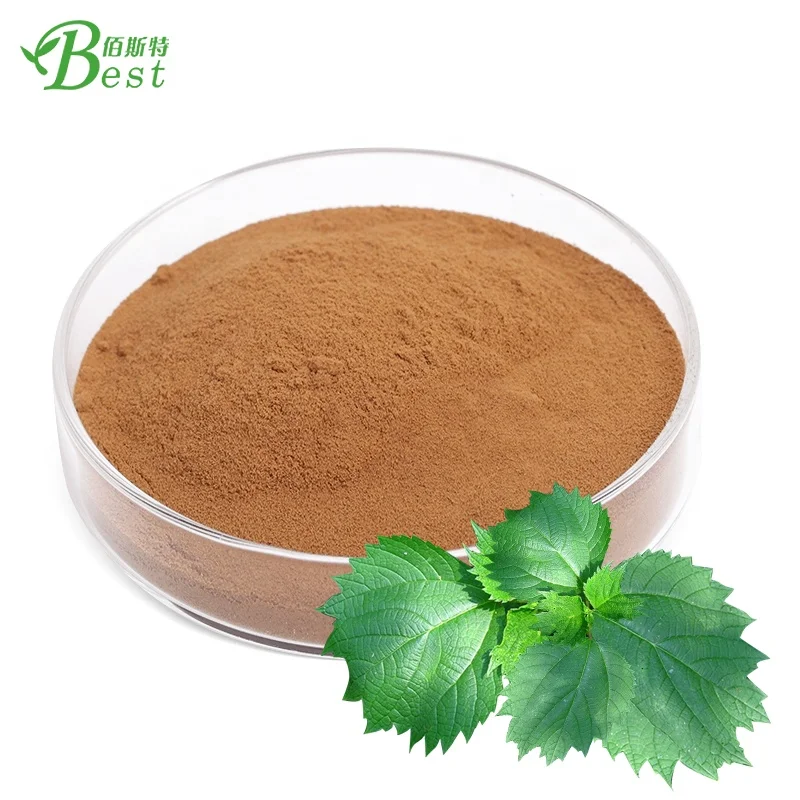 High Quality Ramie Leaf Extract/ Boehmeria Nivea/ Ramie Powder 20:1 ...
