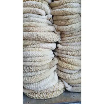 Frozen Cow Tripe Honeycomb Beef Frozen Tripe Available For Supply - Buy ...