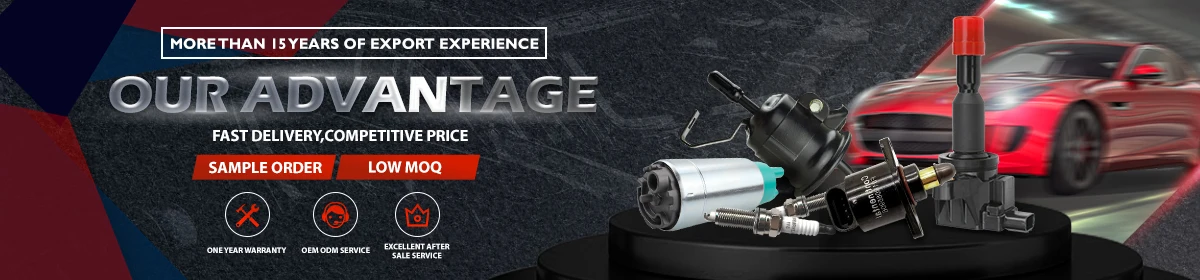 Complete Fuel Pump Assembly For Hyundai Kia Rio 31110-2s000 - Buy Fuel ...