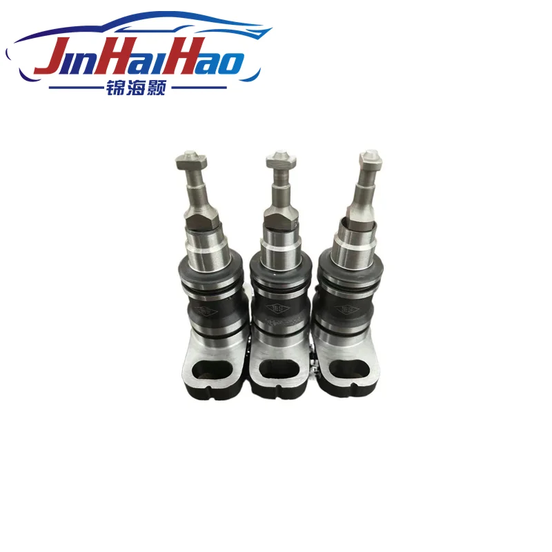 diesel Fuel Injection Pump Plunger 2 418 455 333 Pump-element 2455/333 ...