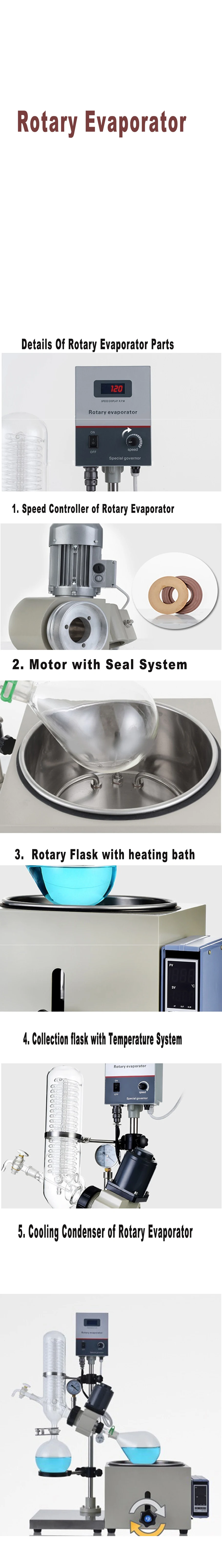 Laboratory Lab Mini Rotavapor Rotovap Vacuum Evaporator