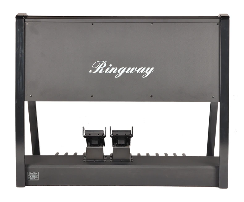 Ringway RS800 Professional Digital Piano With FATAR Keyboard - 88 Key ...