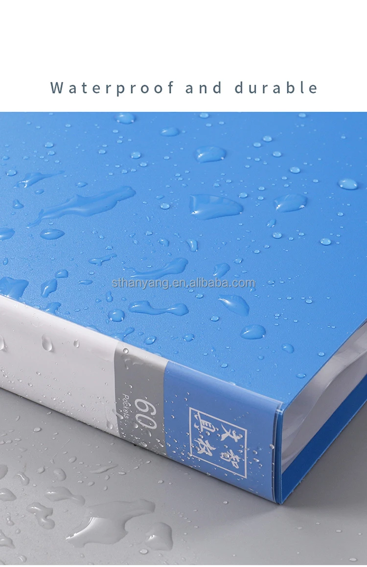 Transparent A4 Display Clearbook - Durable & Versatile