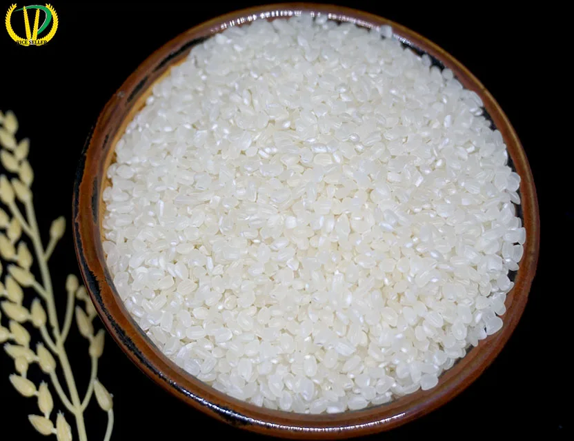 Round Rice Premium Quality Calrose Japonica Rice From Vietnam Camolino Rice Sushi Low Price Good ...