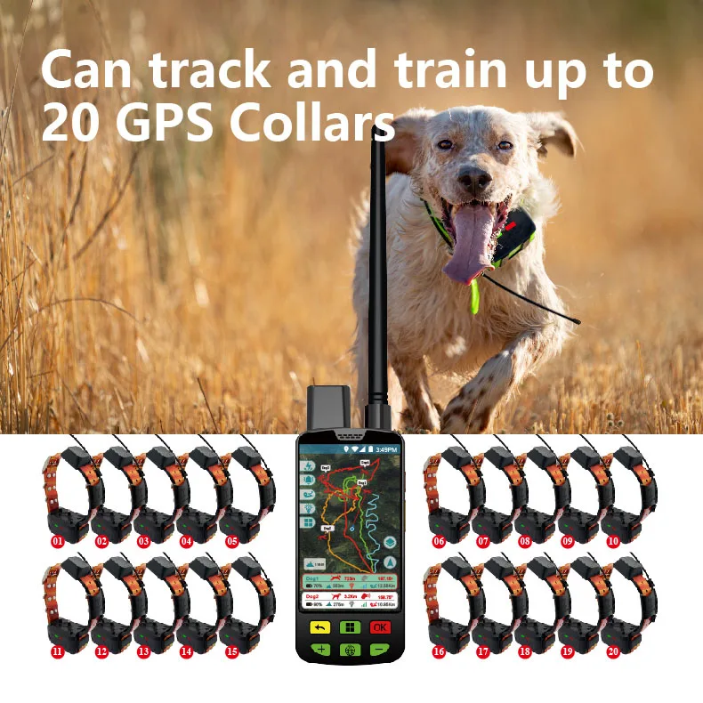 Hound GPS Tracking Device - More Powerful Than Garmin Collar