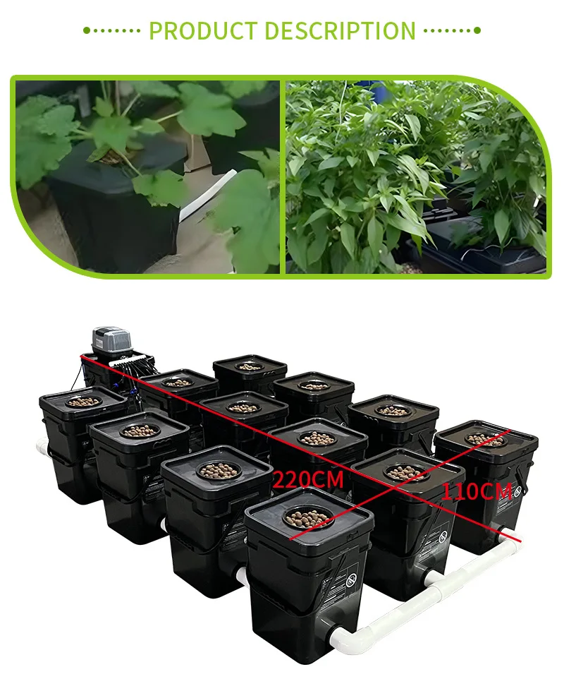 Recirculating Aquaponik Dutch Buckets Rdwc Systems. Bucket Pipe Dwc Hydroponic System - Buy ...