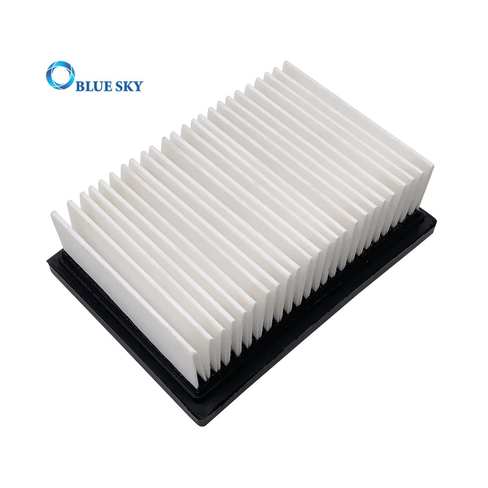 Bluesky Factory Price Air Scrubber Filter for Tennant Replacement