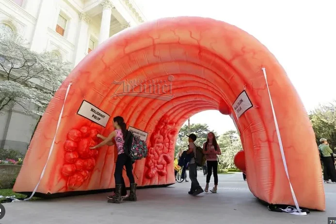 Custom Giant Inflatable Colon - Research & Education Tool